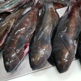 Butterfish Gutted Per 1kg/Fresh | Solander Gourmet Seafood Online, NZ