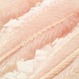 Hoki Fillets Skin Off Bone Out 500g/Fresh | Solander Gourmet Seafood ...
