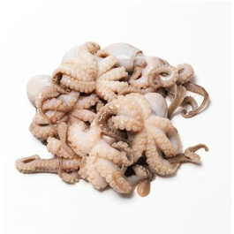 Octopus Whole Baby Per 1kg/Frozen | Solander Gourmet Seafood Online, NZ