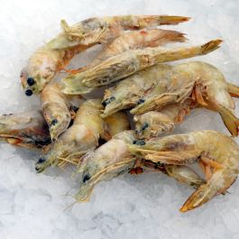 Prawns Australian Wild Caught U15 Banana Per 1kg/Frozen | Solander ...
