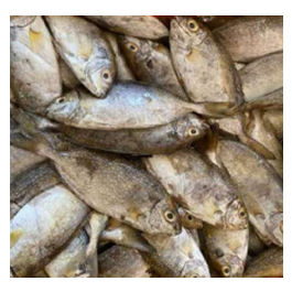 Rabbit Fish (300-500g) 1kg Pack/Frozen | Solander Gourmet Seafood ...