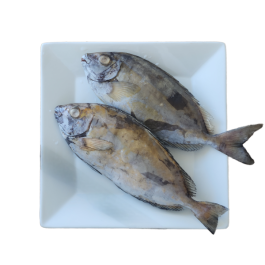 Rabbit Fish (300-500g) 1kg Pack/Frozen | Solander Gourmet Seafood ...