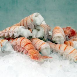 Scampi Tails NZ GT Ungraded 1kg/Frozen | Solander Gourmet Seafood ...