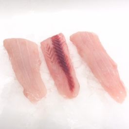 School Shark Fillets Skin Off Bone Out 500g/Fresh | Solander Gourmet ...