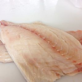 White Warehou Fillets Skin On Bone Out 500g/Fresh | Solander Gourmet ...