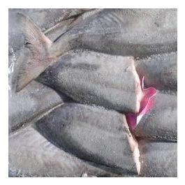 White Warehou Headed & Gutted Per Kg/Frozen | Solander Gourmet Seafood ...